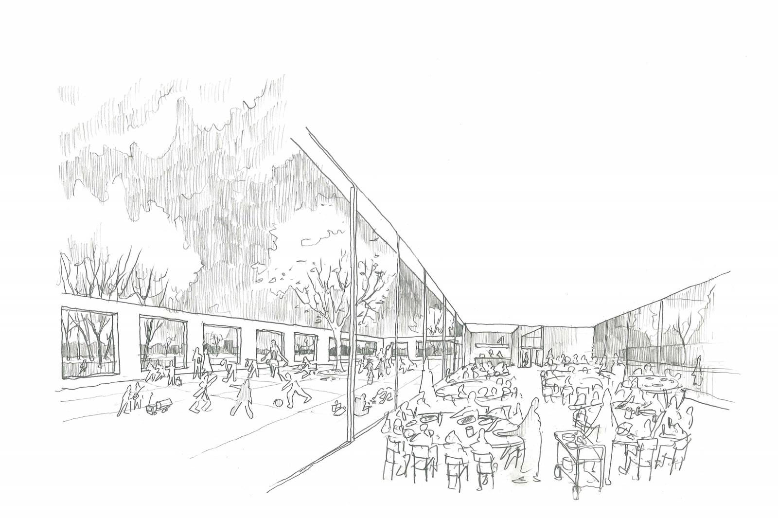 School Forest | V+ architecture